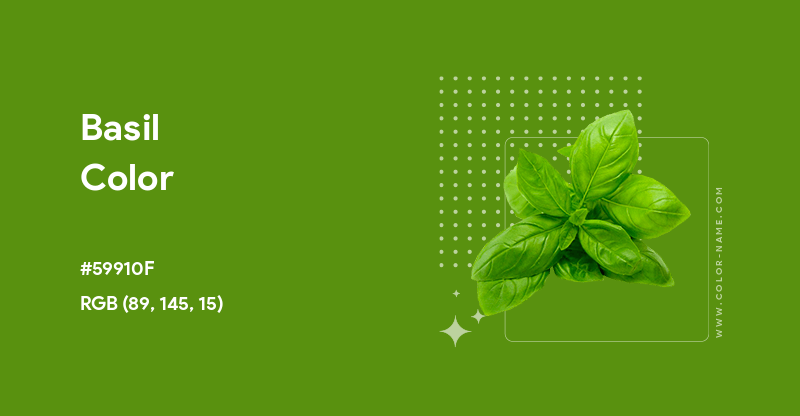 Basil color hex code is #59910F