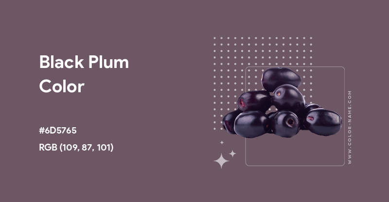 Black Plum color hex code is #6D5765