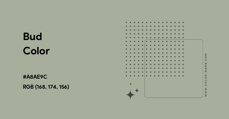 Bud color hex code is #A8AE9C