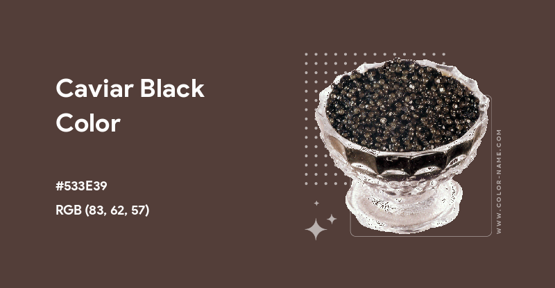 Caviar Black color hex code is #533E39