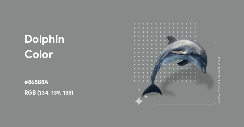 Dolphin color hex code is #868B8A