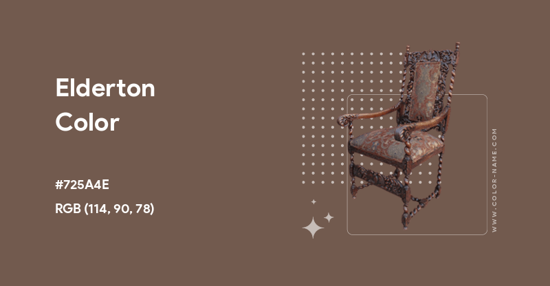 Elderton color hex code is #725A4E