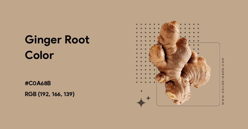Ginger Root color hex code is #C0A68B