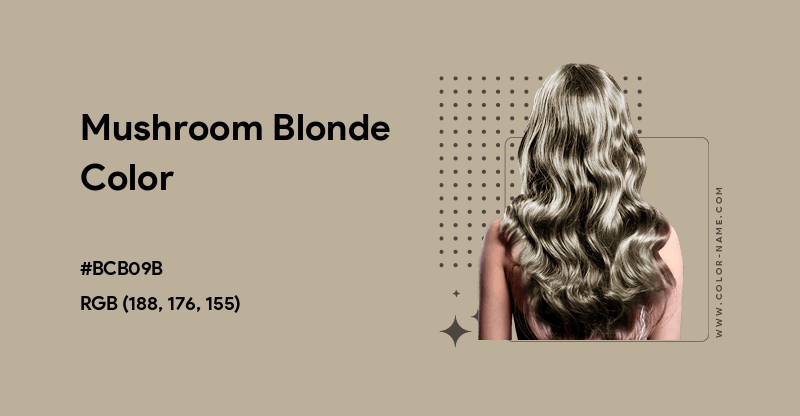 Mushroom Blonde color hex code is #BCB09B