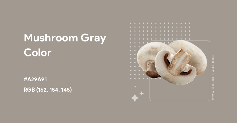 Mushroom Gray color hex code is #A29A91