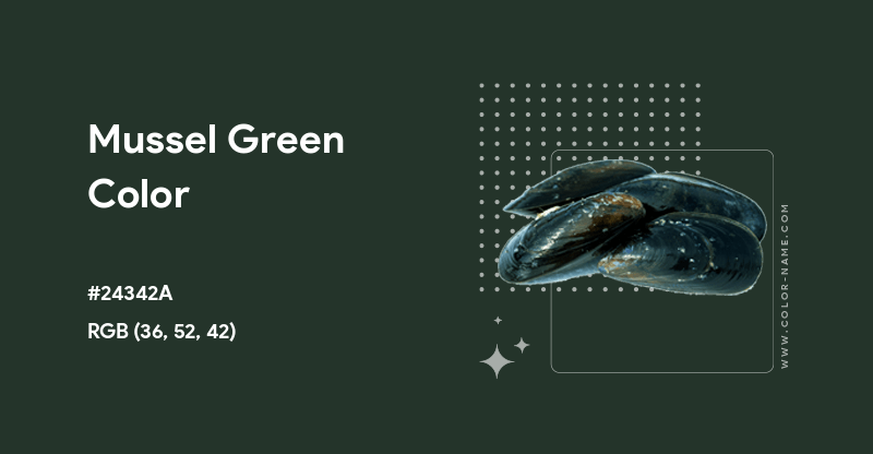 Mussel Green color hex code is #24342A