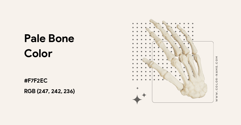 Pale Bone color hex code is #F7F2EC
