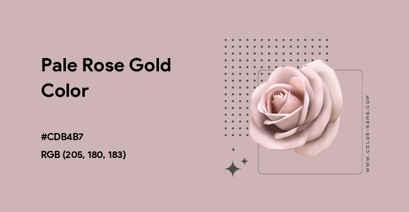 Pale Rose Gold color hex code is #CDB4B7