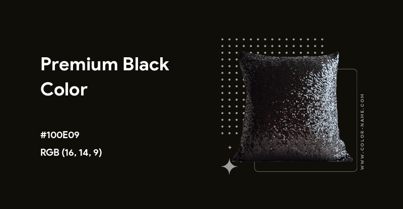 Premium Black color hex code is #100E09
