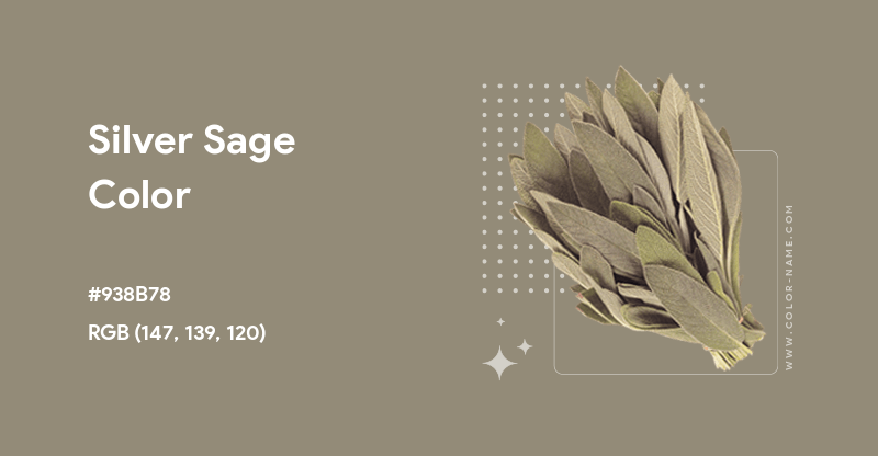 Silver Sage color hex code is #938B78