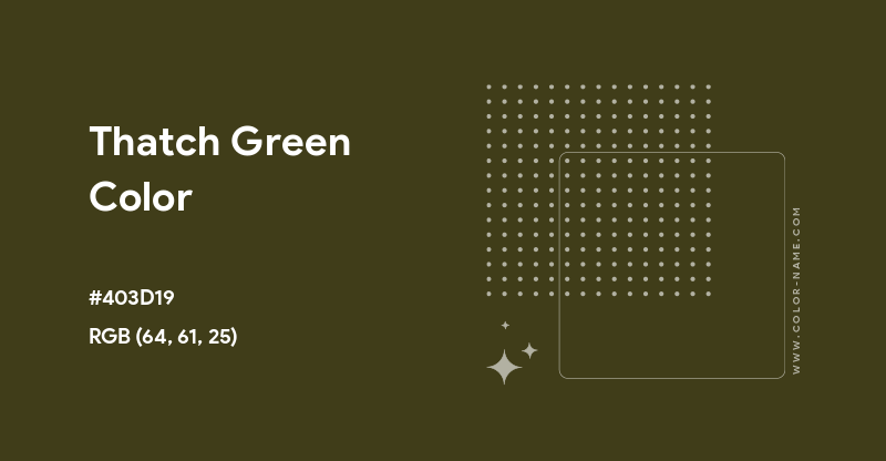 Thatch Green color hex code is #403D19