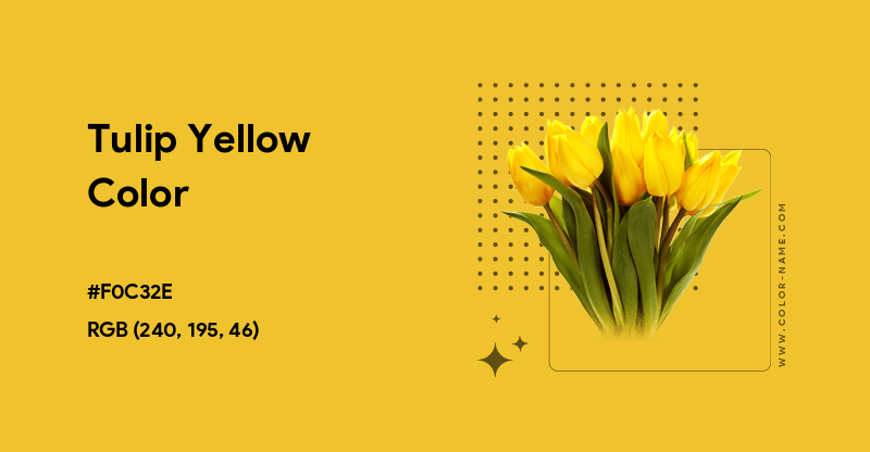 Tulip Yellow color hex code is #F0C32E
