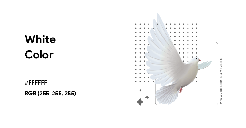 White color hex code is #FFFFFF