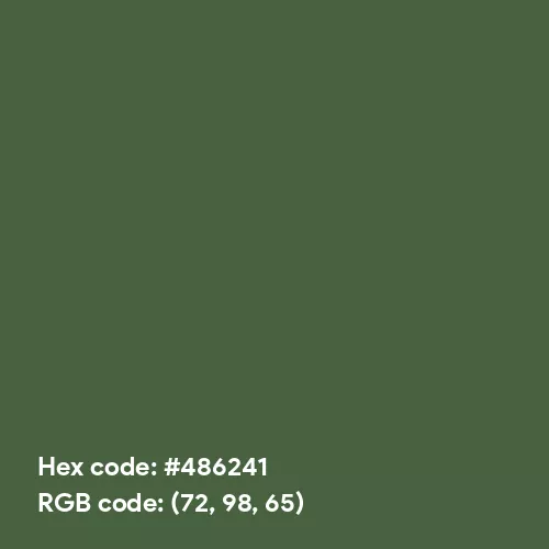Acacia Green color hex code is #486241