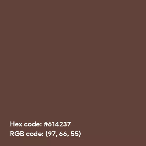 Beautiful Brown color hex code is #614237