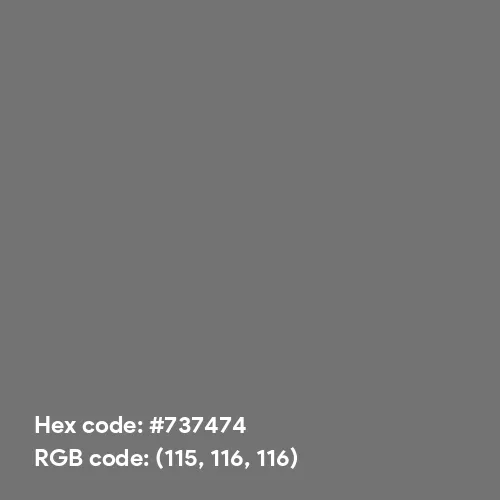 Black Silver color hex code is #737474