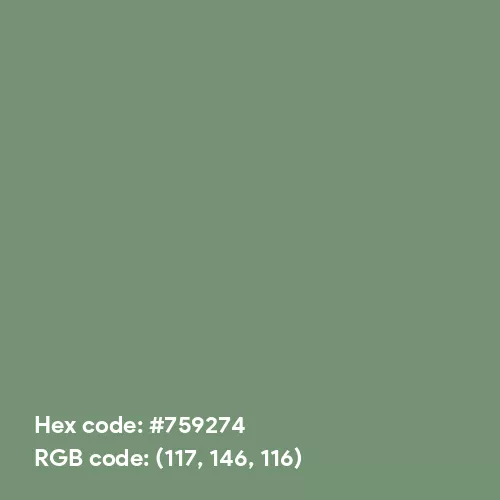 Misty Green color hex code is #759274
