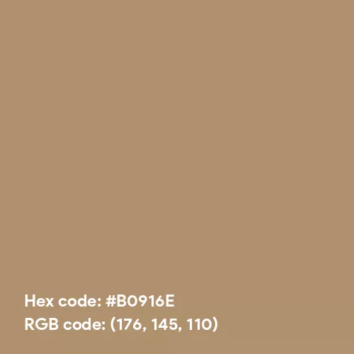 Cardboard color hex code is #B0916E