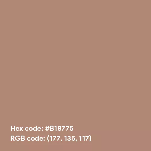 Caramel Brown color hex code is #B18775