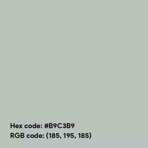 New Silver color hex code is #B9C3B9