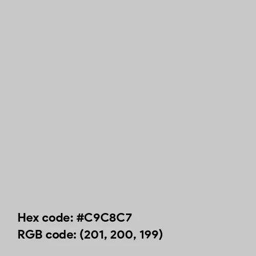 Foggy Grey color hex code is #C9C8C7