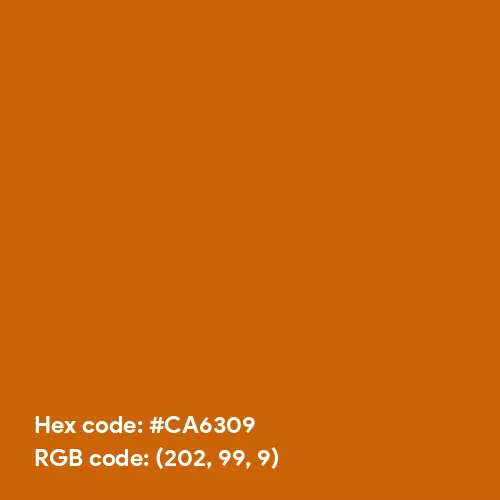 Squash color hex code is #CA6309