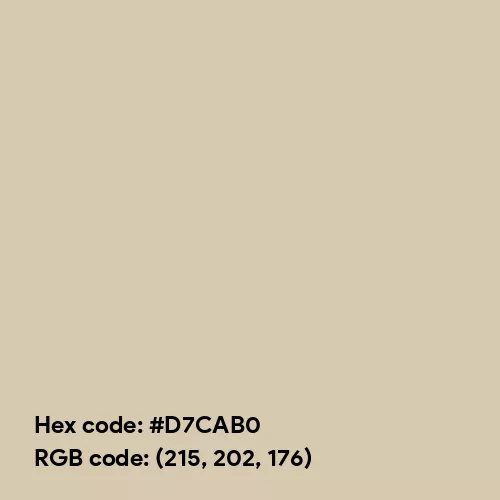 Wood Ash color hex code is #D7CAB0