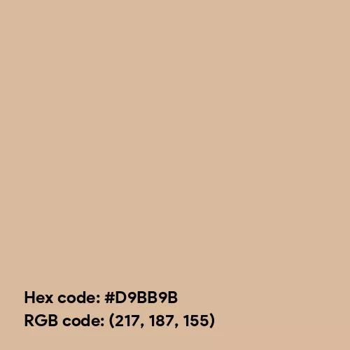 Beige CMYK color hex code is #D9BB9B