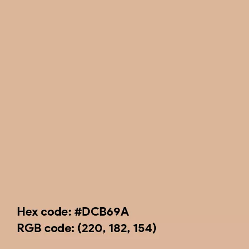 Cream Brown color hex code is #DCB69A