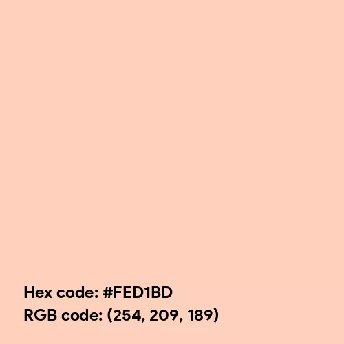 Pale Peach (Pantone) color hex code is #FED1BD