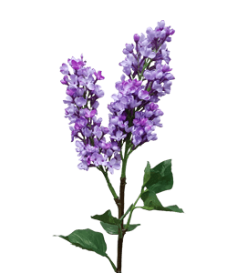 Bright Lavender color hex code is #B593FA
