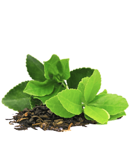 Tea Leaf color hex code is #616054