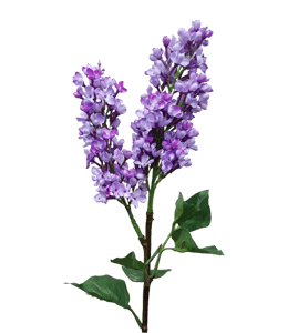 Bright Lilac color hex code is #D4A2F8