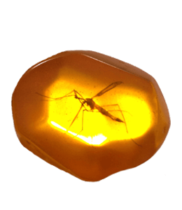 Amber color hex code is #FFBF00