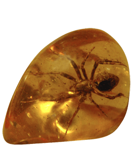 Golden Amber color hex code is #E8BE14