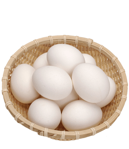 Eggshell White color hex code is #F9FEFF