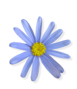 Aster Flower Blue color hex code is #9BACD8