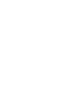 Netflix Red color hex code is #E52B12