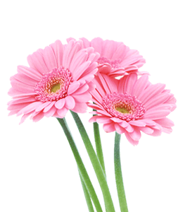 Tender Pink color hex code is #F1CDE3