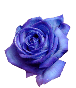 Rose Blue color hex code is #7D7CC0