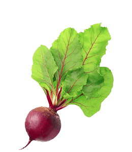 Beetroot color hex code is #9E3350