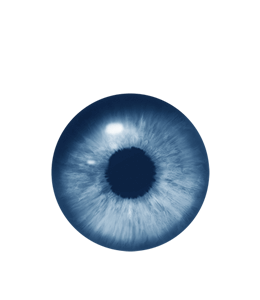 Blue-Gray color hex code is #6699CC