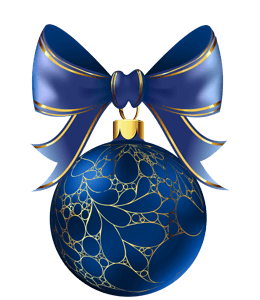 Christmas Blue color hex code is #1F2766