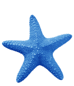 Blue Sea Star color hex code is #006CBC