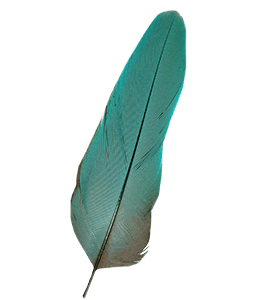 Persian Green color hex code is #00A693