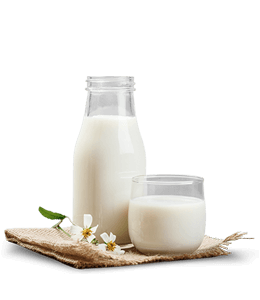 Milk color hex code is #FDFFF5