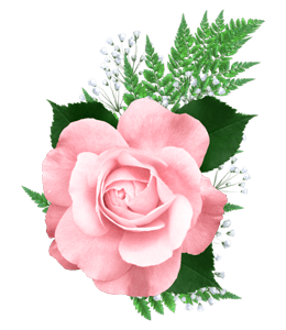 Bridal Rose color hex code is #D69FA2