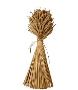 Harvest Gold (Pantone) color hex code is #B68A3A