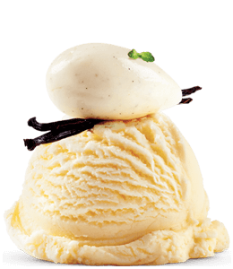 French Vanilla color hex code is #E8E0C5