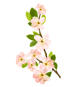 Cherry Blossom Pink (RAL Design) color hex code is #E297A4